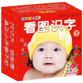 阳光宝贝 0-6岁早教撕不烂全卡 看图识字（下）