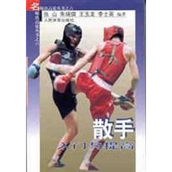 散手入门与提高 张山