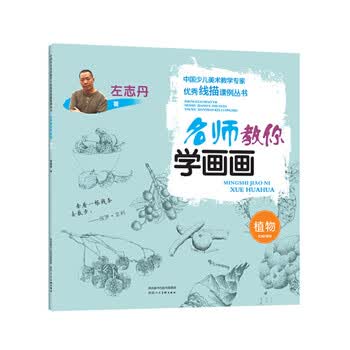 名师教你学画画优秀线描课例——植物