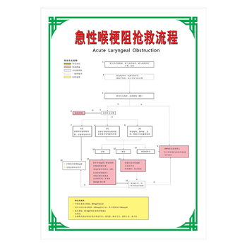 医院制度急救程序挂图过敏性休克抢救流程图示意图墙贴纸WSB169 WSB169-22 60*80cm  PP覆膜贴纸