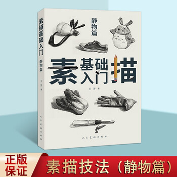 正版素描基础入门静物篇 王芳 著 素描基础教程书 零基础学画画 素描入门绘画技法教程 人民美术出版社