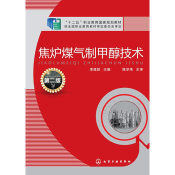 焦炉煤气制甲醇技术(李建锁)(第二版)