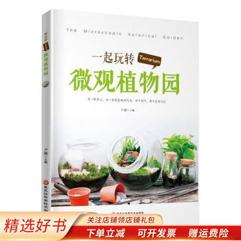 一起玩转Terrarium微观植物园 卢璇