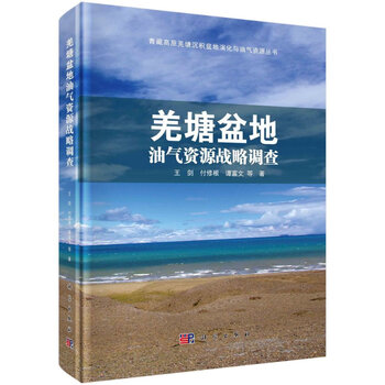 羌塘盆地油气资源战略调查 科学出版社