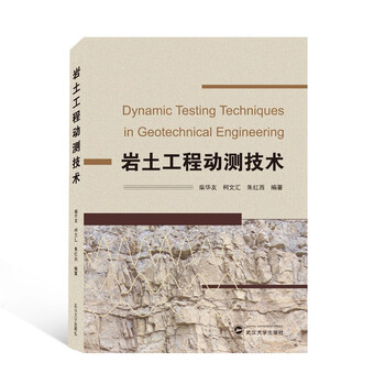 正版  岩土工程动测技术  武汉大学出版社