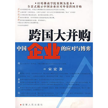 跨国大并购中国企业的应对与博弈 宋宏　著【正版书】