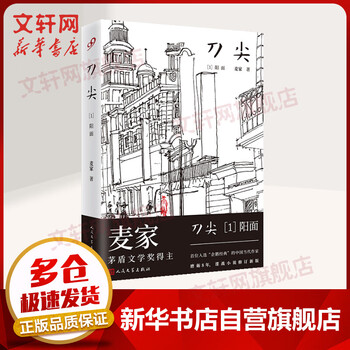 刀尖1 阳面 麦家