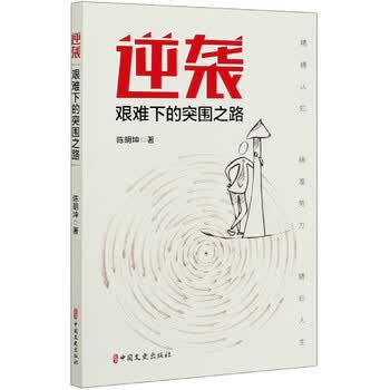 逆袭(艰难下的突围之路)