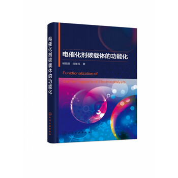 电催化剂碳载体的功能化