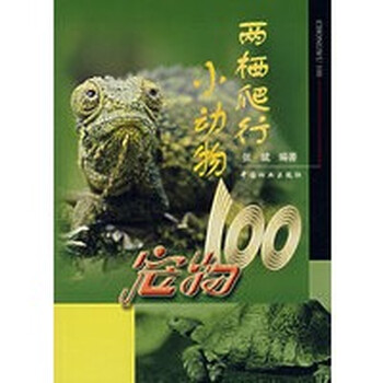 两栖爬行小动物