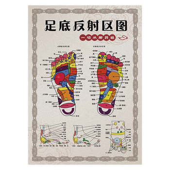 中医养生按摩国家标准足穴挂图脚底足部反射区宣穴位图传画WSA WSA18-04 足底反射区图 80x120cm  PP覆膜贴纸