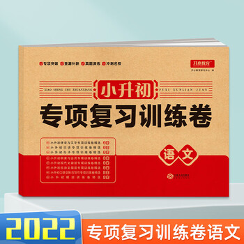 可单买/2022新版开心教育小升初毕业总复习真题卷 专项复习训练卷语文 小学通用