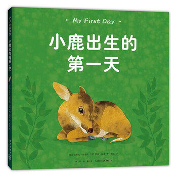 小鹿出生的第一天 感受生命力