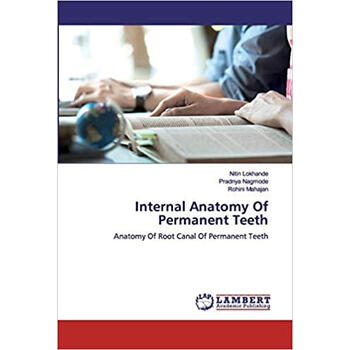 Internal Anatomy Of Permanent Teeth