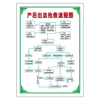 医院制度急救程序挂图过敏性休克抢救流程图示意图墙贴纸WSB169 WSB169-37 40*60cm  PP覆膜贴纸