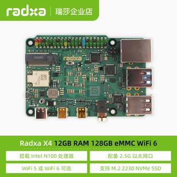 RADXA瑞莎 X4 单板机 - 搭载 Intel N100 处理器，兼具高性能与低功耗 12GB内存+128GB eMMC【WiFi6 ...