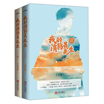 我的消防员先生小说  图书