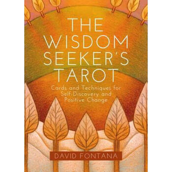 The Wisdom Seeker's Tarot: Cards and Techn 英文原版