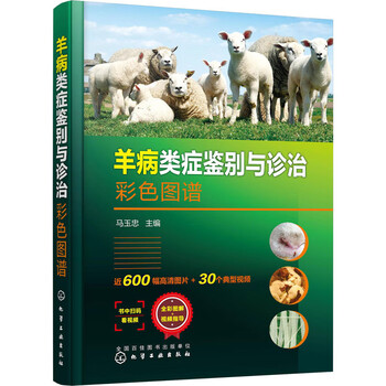 羊病类症鉴别与诊治彩图谱 农业科技  正版