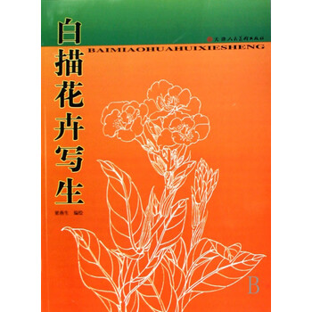 白描花卉写生