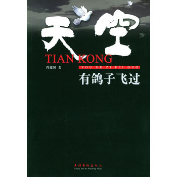 天空有鸽子飞过 尚建国 文化艺术出版社