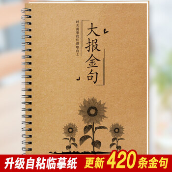 央视金句字帖主持人董卿撒贝宁语录公考申论素材高考作文佳句字帖 大报金句（配带E）