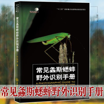 好奇心书系：常见螽斯蟋蟀野外识别手册   何祝清 著  重庆大学