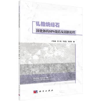钆锆烧绿石固化体的SPS及固核机理