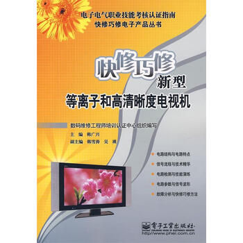 快修巧修新型等离子和高清晰度电视机 韩广兴 主编【正版书】