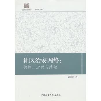 社区治安网络:结构过程与绩效