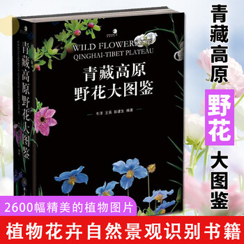 正版青藏高原野花大图鉴精装牛洋重庆大学出版社观赏植物和壮美的自然景观图书科普读物生物k