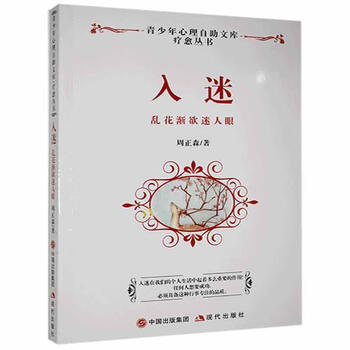 入迷:乱花渐欲迷人眼/9787514319640/心理学书籍