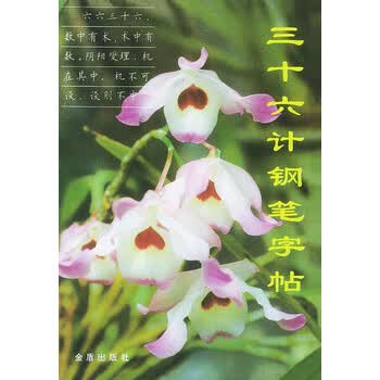 三十六计钢笔字帖 史小波  书写