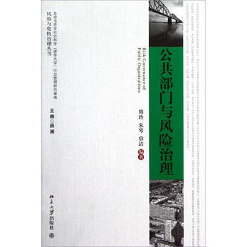 公共部门与风险治理