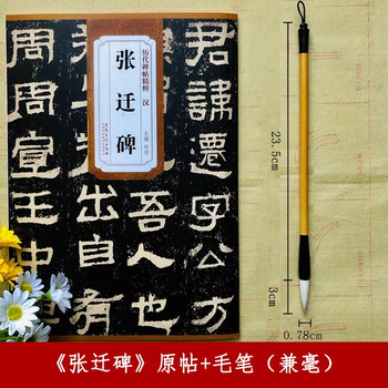 张迁碑 汉 历代碑帖精粹 汉隶隶书毛笔字帖 杜浩主编 临传世碑帖书法名品附简体旁注 安徽美术出版社 张迁碑原帖+兼毫四号毛笔