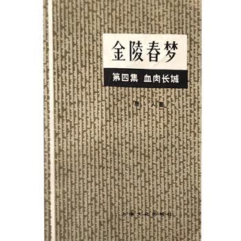 金陵春梦第四集血肉长城 唐人