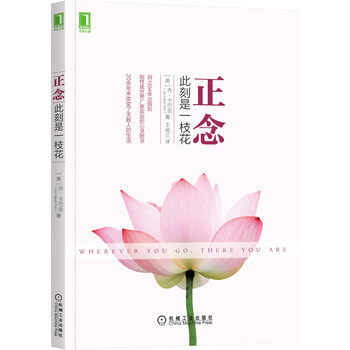 官网正版 正念 此刻是一枝花 乔卡巴金 心理学书籍阐明正念冥想精髓人生哲学通俗读物 正知正念正能量书籍