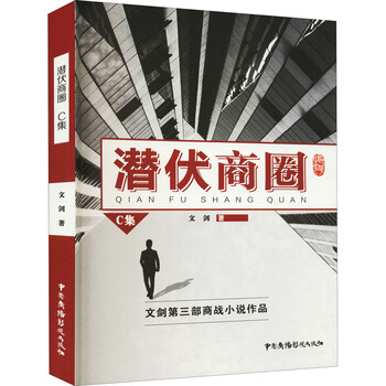 潜伏商圈 C集 文剑  书籍