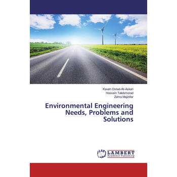 Environmental Engineering Needs, Problems and So