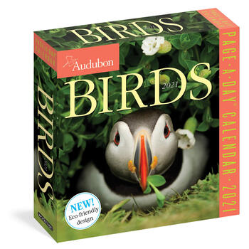 Audubon Birds Page-A-Day Calendar 2021