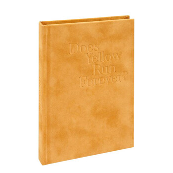【】摄影师保罗·格雷厄姆Paul Graham Does Yellow Run Forever?