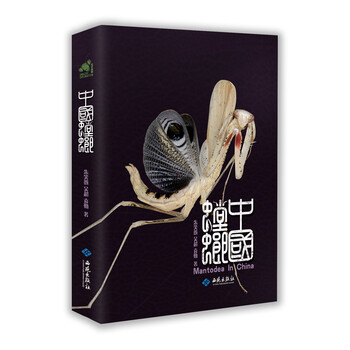 正版图书 中国螳螂 朱笑愚,吴超,袁勤 西苑出版社 9787515102870