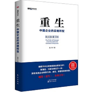 重生中国企业的战略转型 施炜