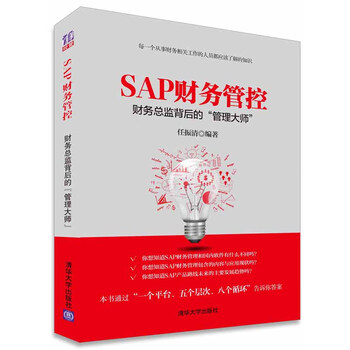 SAP财务管控:财务总监背后的管理大师