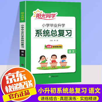 2022新版阳光同学小学毕业升学系统总复习考点大全与全真模拟语文小升初知识大全六年级总复习辅导资料书