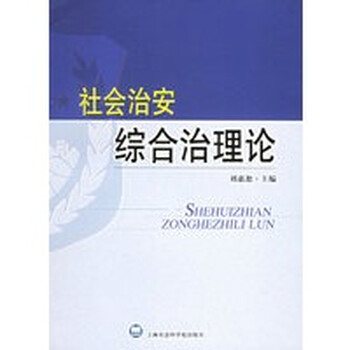 社会治安综合治理论【正版图书】