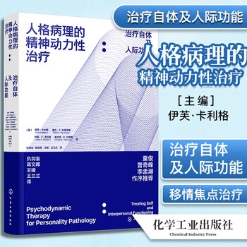 人格病理的精神动力性治疗 治疗自体及人际功能