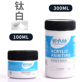 丙烯颜料防水手绘画材料diy墙绘彩绘工具24色画鞋子12色300ml白色炳稀染料不掉色儿童涂鸦丙 钛白 300ml
