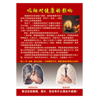 禁止吸烟标贴纸标语标识控烟禁烟公益广告文化招贴画挂图无烟校园宣传画覆膜防水贴纸TYH TYH01 吸烟有害健康 40*30厘米 覆膜防水PP贴纸