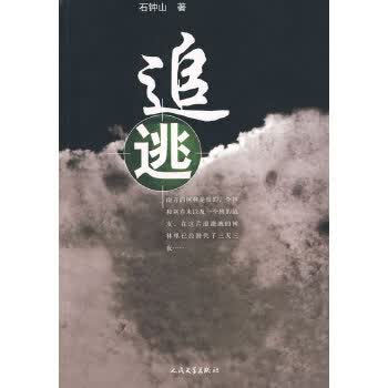 追逃【正版图书】